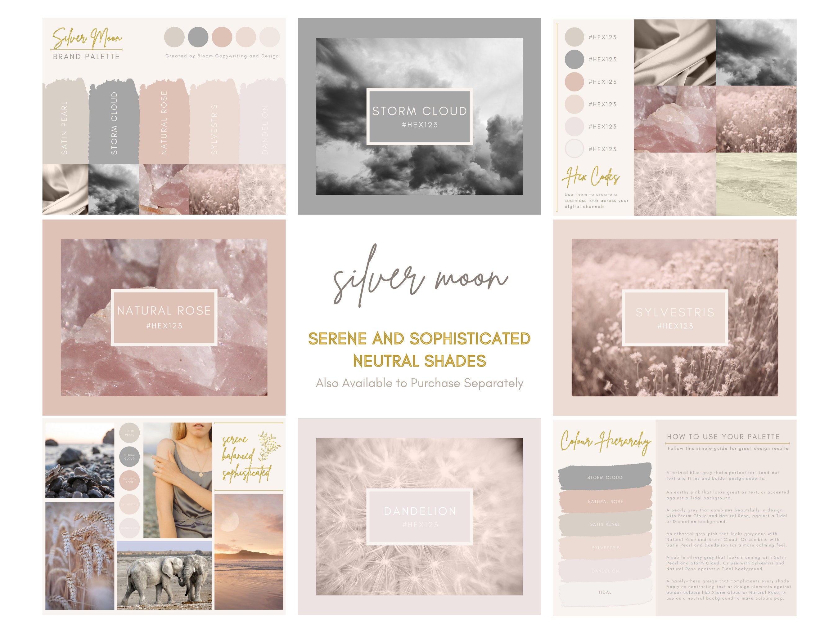 SAVE 10% Neutral Brand Palette Bundle Editable Canva - Etsy