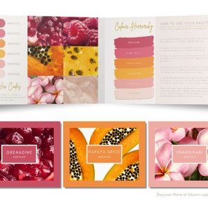 Luxury Color Palette | Brand Color Palette With Hex Codes | Premium ...