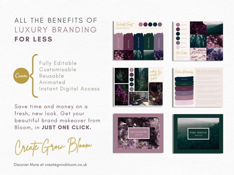 Luxury Color Palette | Brand Color Palette With Hex Codes | Premium ...