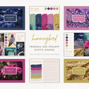 SAVE 25% | Exotic Brand Color Palette Bundle | Canva Color Palettes ...