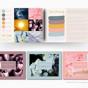 Luxury Brand Color Palette | Color Palette With Hex Codes | Premium ...