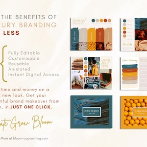 Luxury Color Palette | Brand Color Palette With Hex Codes | Premium ...