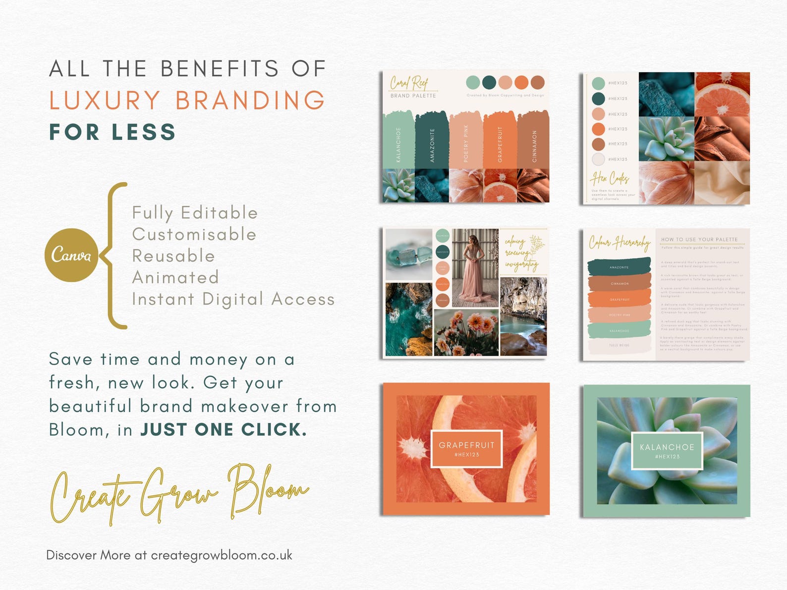 Luxury Brand Color Palette | Canva Colour Palette With Hex Codes ...