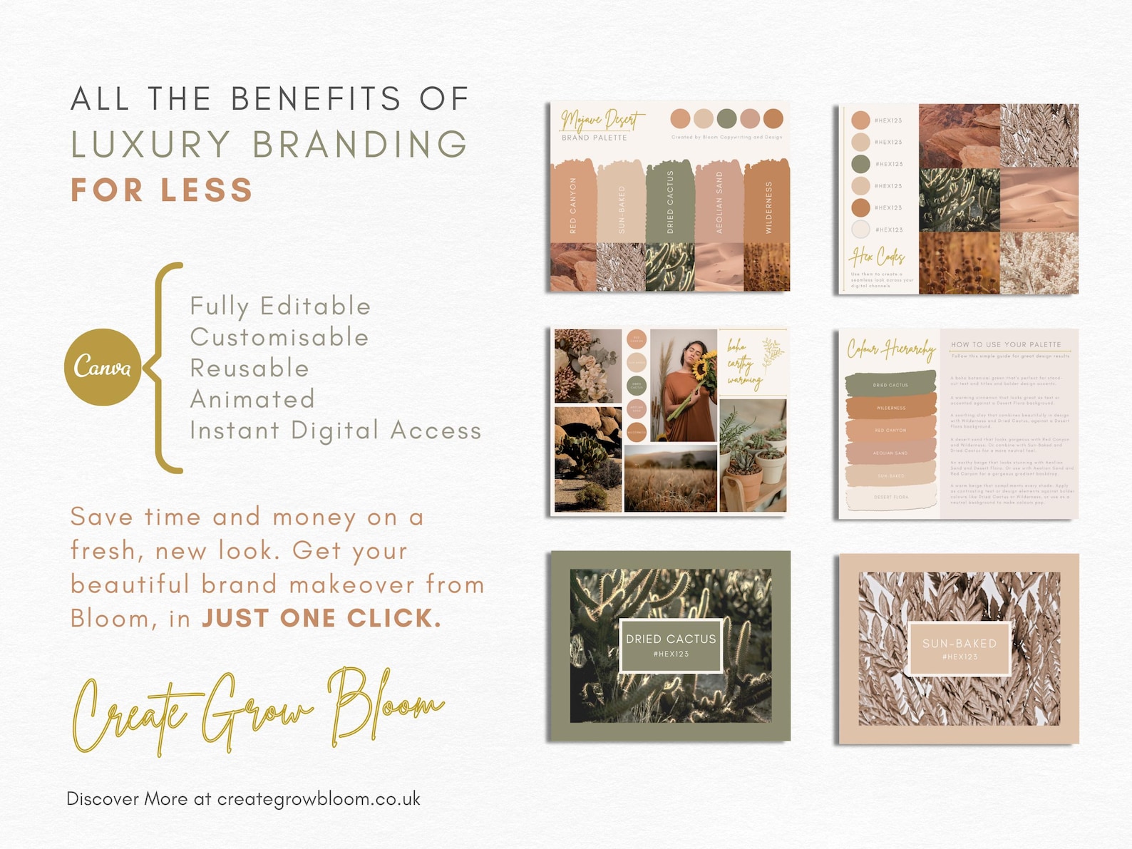 Luxury Color Palette | Brand Color Palette With Hex Codes | Premium ...