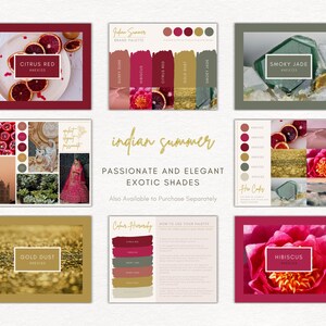 SAVE 25% | Exotic Brand Color Palette Bundle | Canva Color Palettes ...
