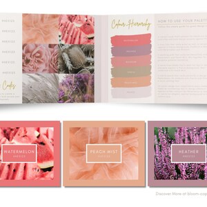 Deluxe Brand Palette Editable Canva Colour Palette With Hex Codes Small ...