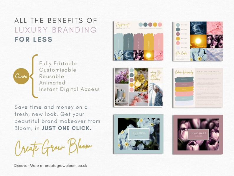 Luxury Brand Color Palette | Color Palette With Hex Codes | Premium ...