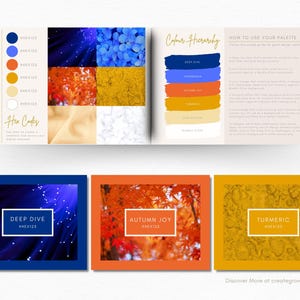Luxury Color Palette | Brand Color Palette With Hex Codes | Premium ...