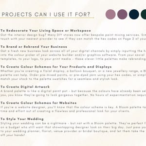 Fairy Tale Color Palette With Fonts | Canva Brand Palette + CMYK, RGB ...