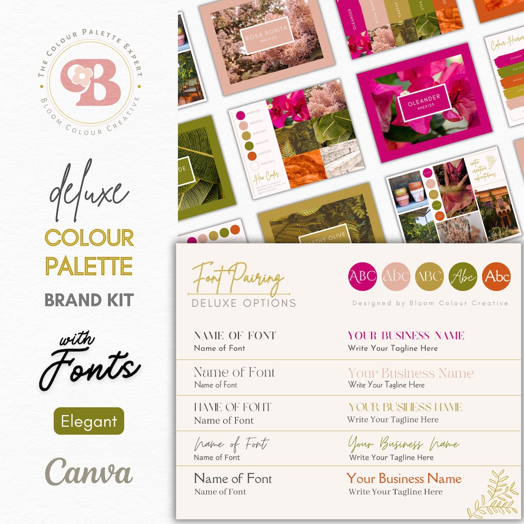 Elegant Brand Colour Palette With Fonts - Canva Brand Palette With CMYK ...