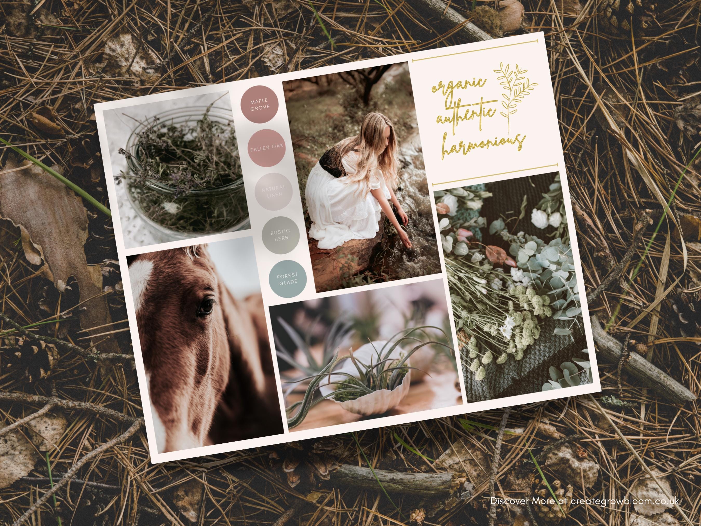 Luxury Brand Color Palette | Botanical Brand Color Palette With Hex ...