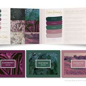 Luxury Color Palette | Brand Color Palette With Hex Codes | Premium ...