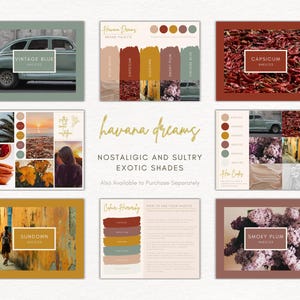 SAVE 25% | Exotic Brand Color Palette Bundle | Canva Color Palettes ...