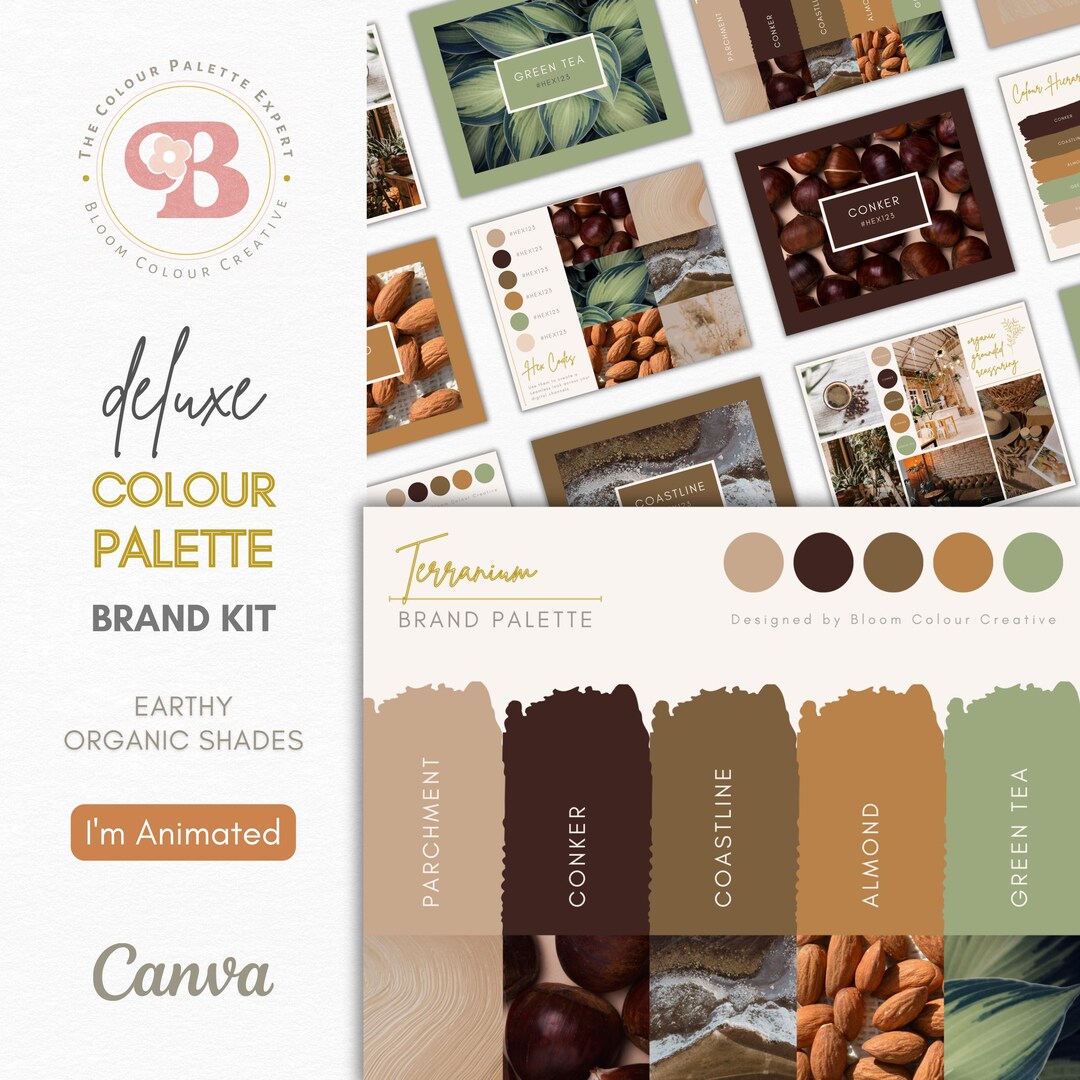 Earthy Canva Brand Colour Palette - Neutral Brand Kit With Hex Codes ...