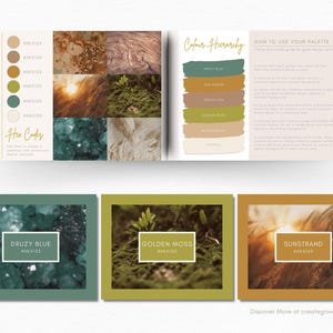 Designer Brand Color Palette | Canva Color Palette With Hex Codes ...