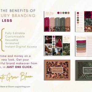 Luxury Color Palette | Brand Color Palette With Hex Codes | Premium ...