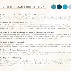 Luxury Color Palette Brand Color Palette With RGB, CMYK & Hex Codes ...