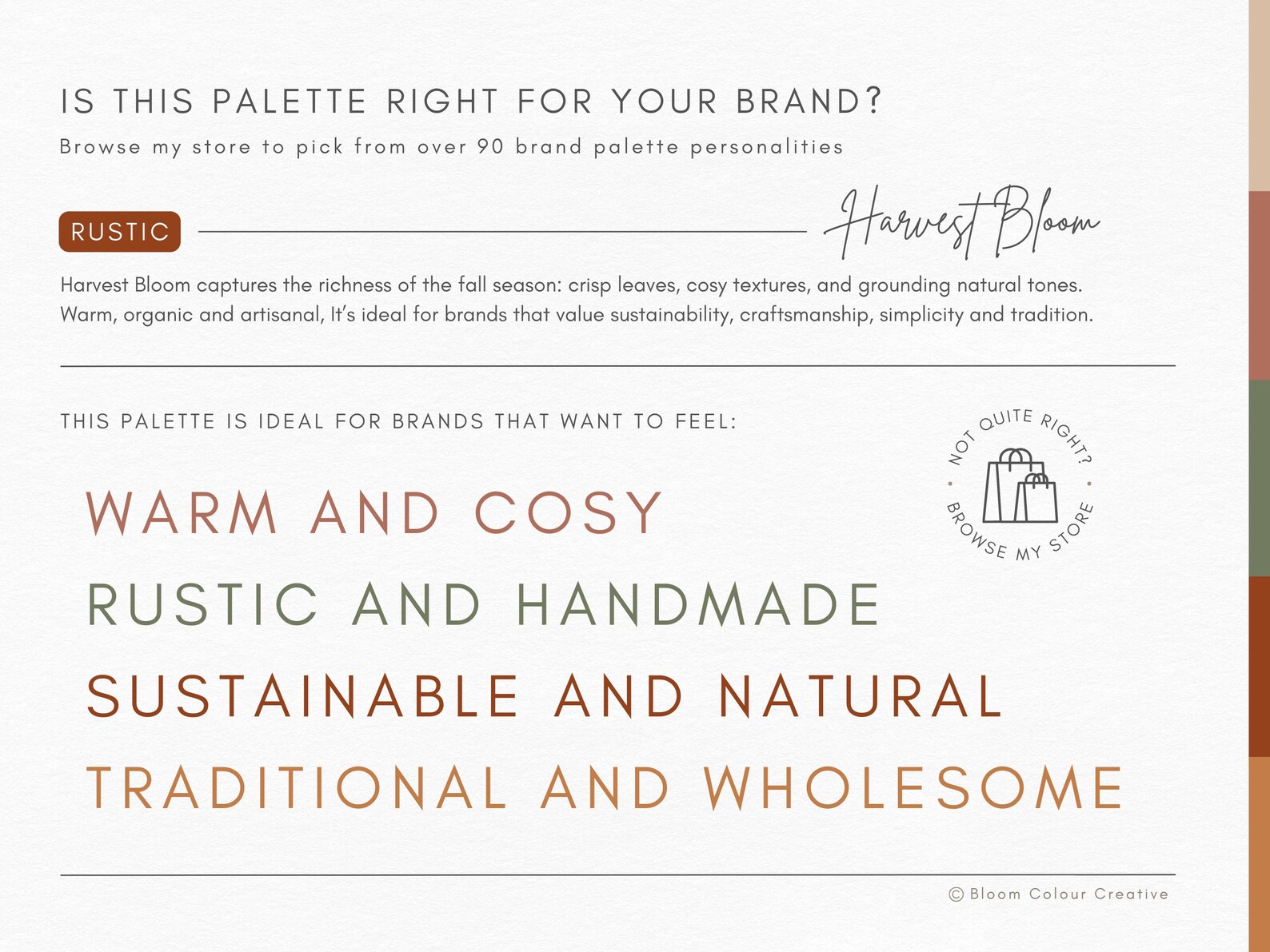 Luxury Color Palette | Brand Color Palette With Hex Codes | Premium ...