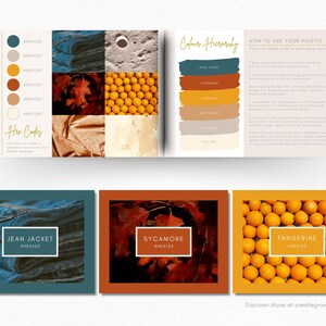 Luxury Color Palette | Brand Color Palette With Hex Codes | Premium ...