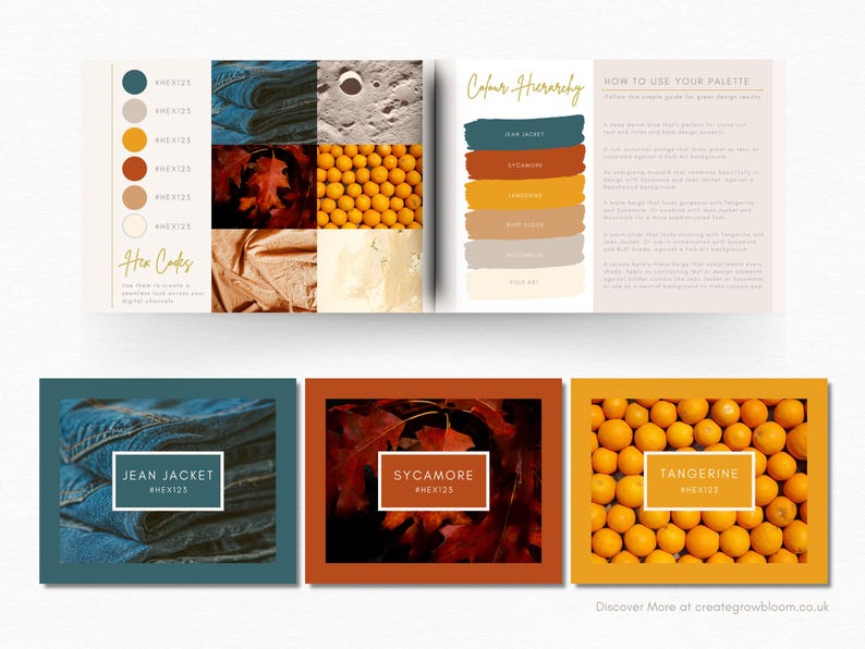 Luxury Color Palette | Brand Color Palette With Hex Codes | Premium ...