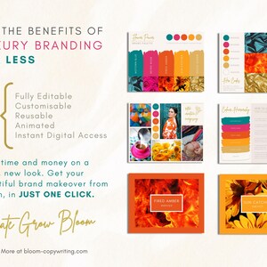 Luxury Color Palette Brand Color Palette With Hex Codes Premium ...