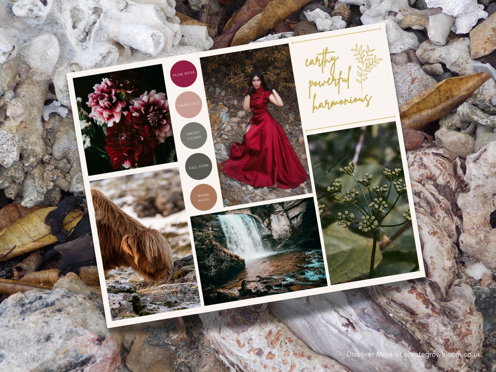 Luxury Color Palette | Brand Color Palette With Hex Codes | Premium ...