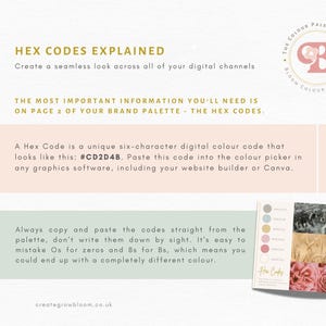Luxury Color Palette | Brand Color Palette With Hex Codes | Premium ...