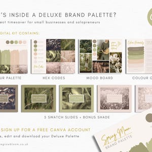 Earthy Boho Brand Colour Palette - Canva Brand Kit With Hex Codes ...