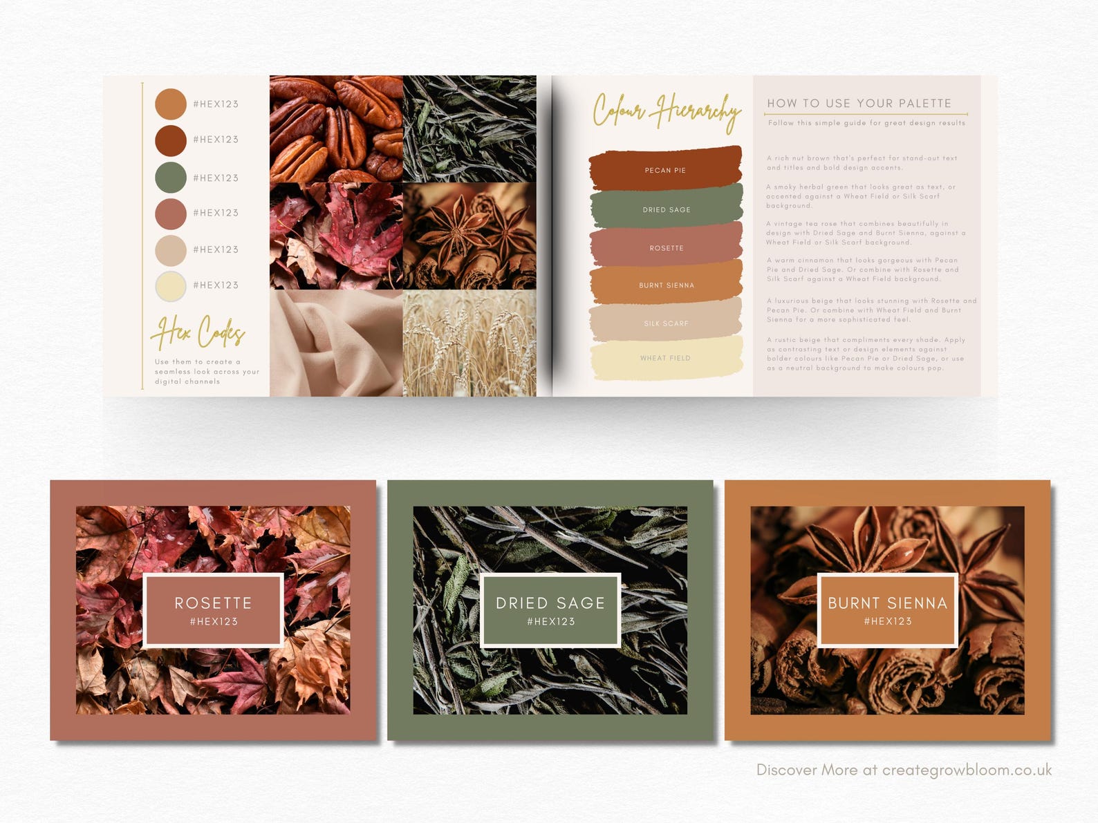 Luxury Color Palette | Brand Color Palette With Hex Codes | Premium ...