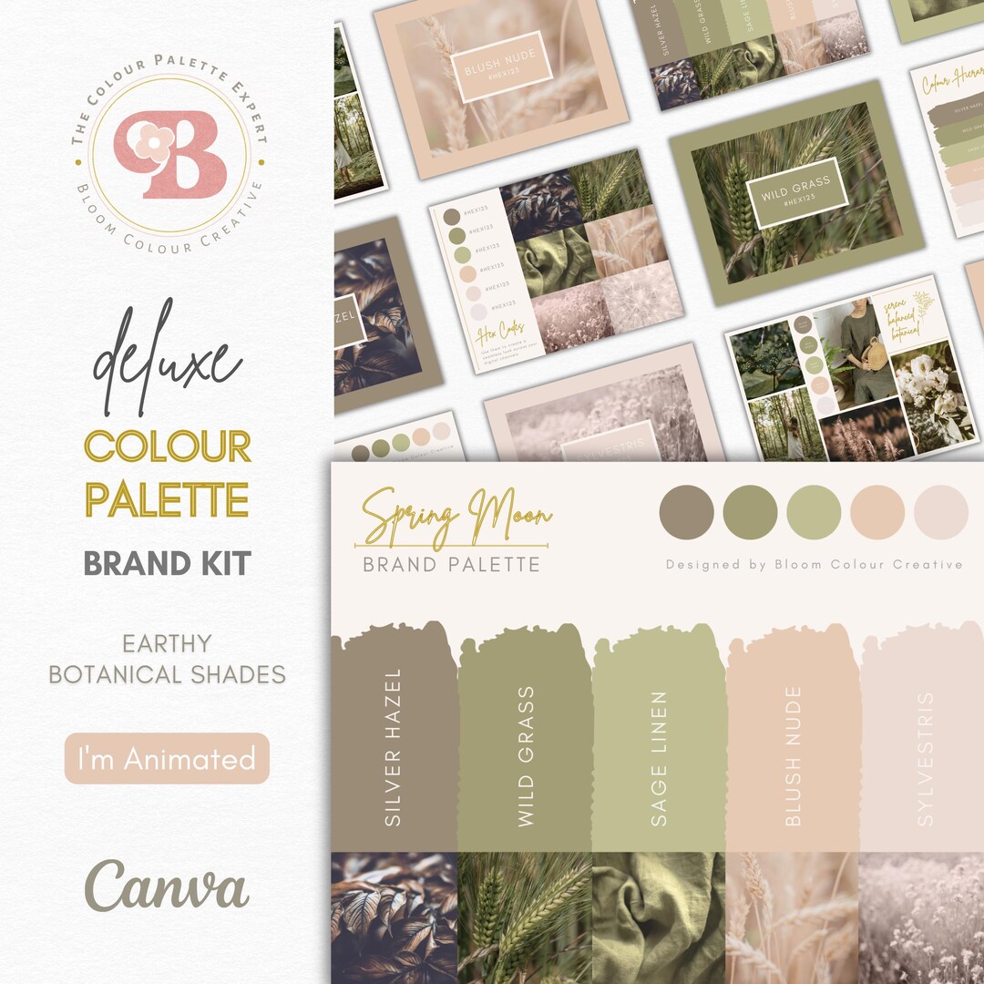 Earthy Boho Brand Colour Palette - Canva Brand Kit With Hex Codes ...