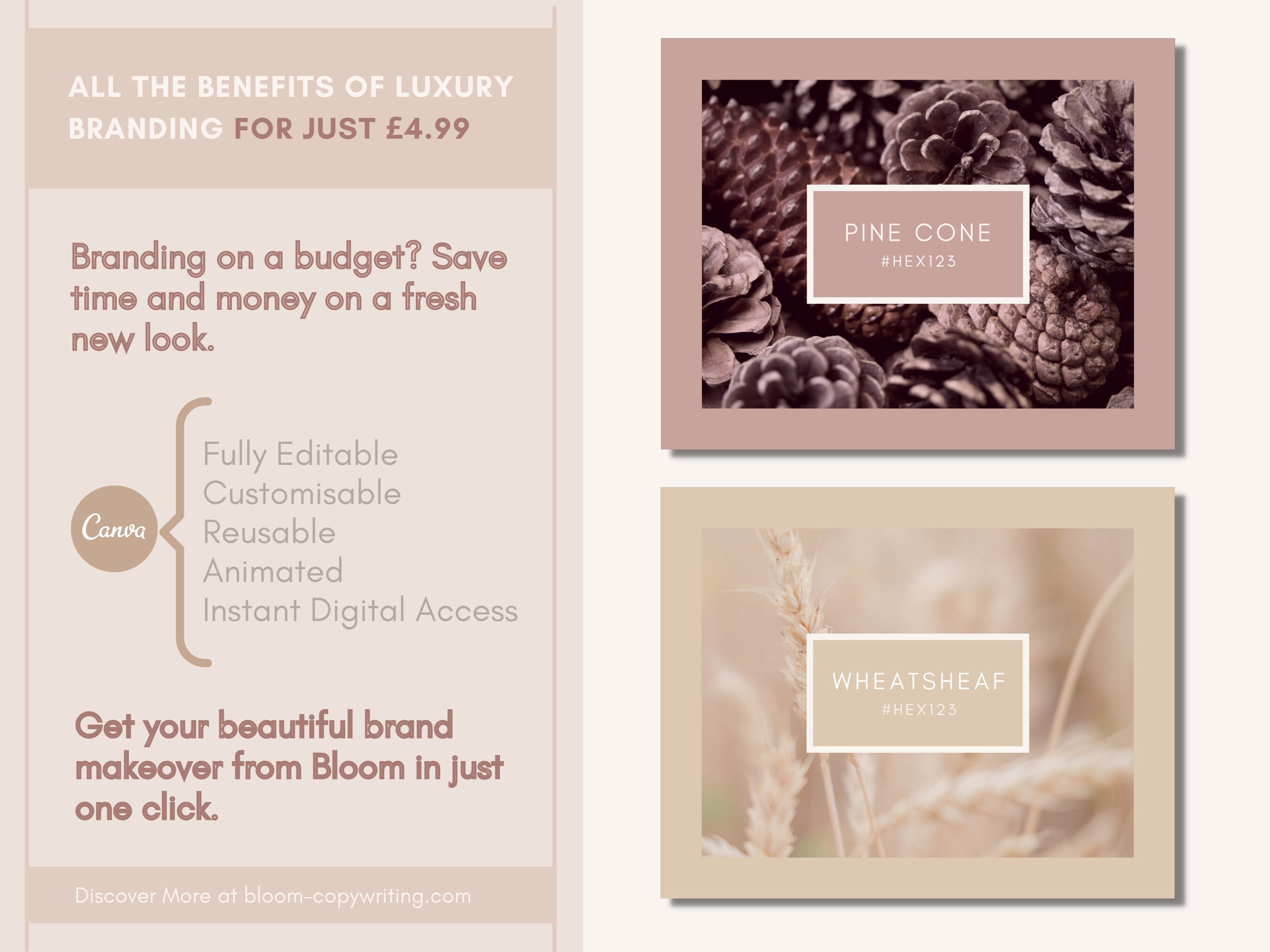 Deluxe Folklore Brand Palette Editable Canva Colour Palette - Etsy