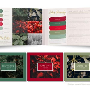 Luxury Color Palette Brand Color Palette With RGB, CMYK & Hex Codes ...