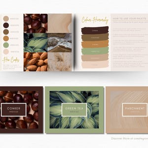Earthy Canva Brand Colour Palette - Neutral Brand Kit With Hex Codes ...