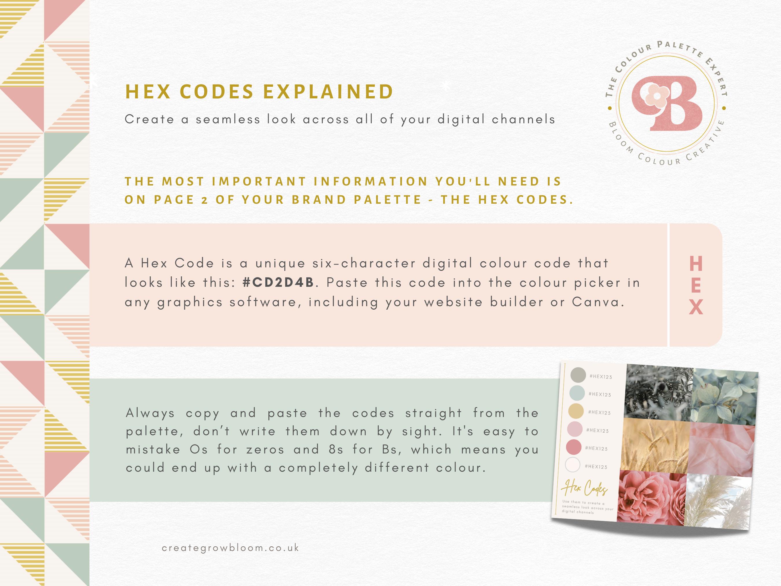 Tropical Brand Colour Palette Canva Templates With Hex Codes – Vibrant ...