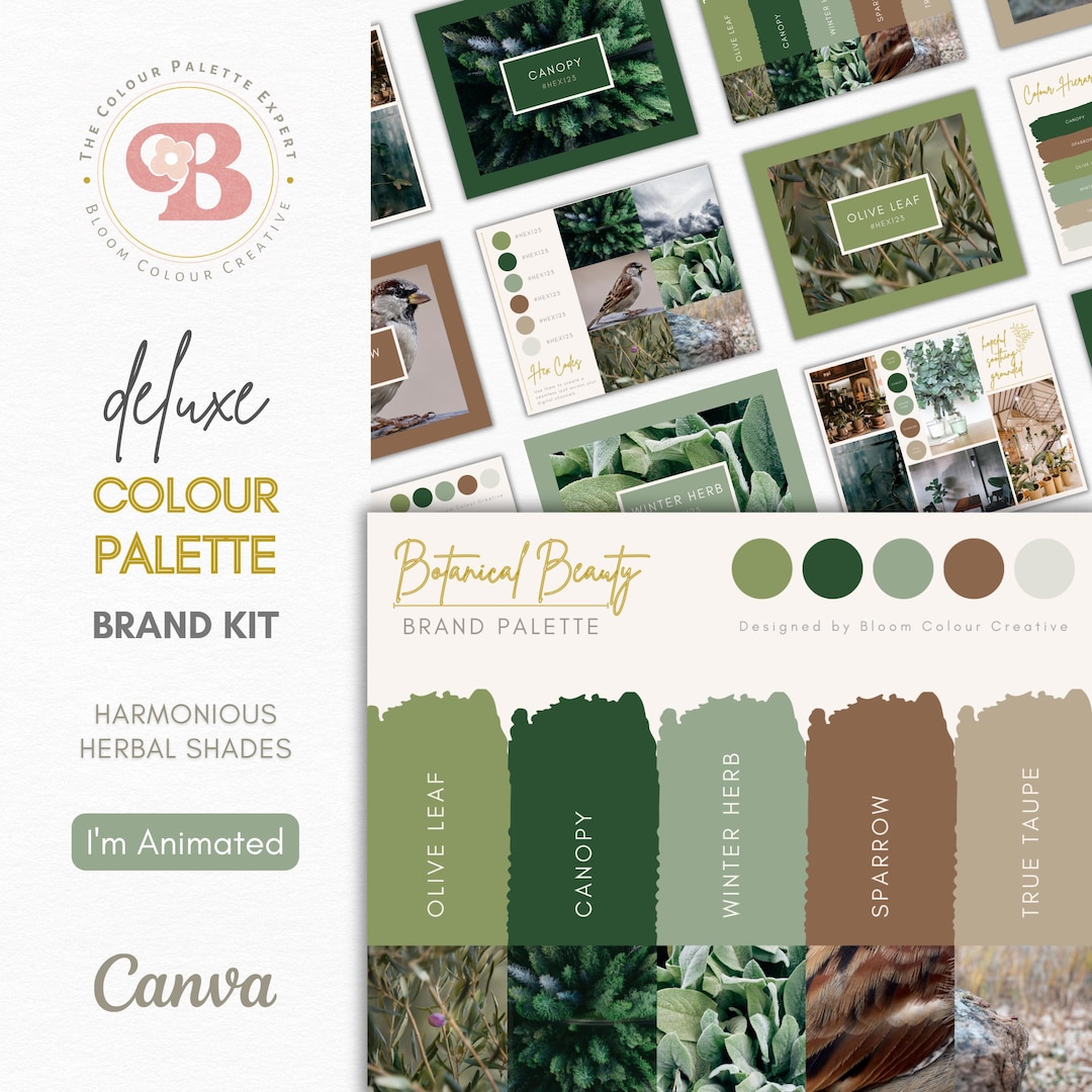 Earthy Brand Colour Palette for Canva – Botanical Beauty Rustic ...