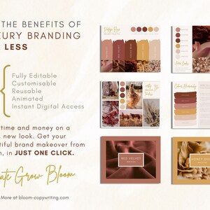 Luxury Brand Color Palette | Canva Color Palette With Hex Codes ...
