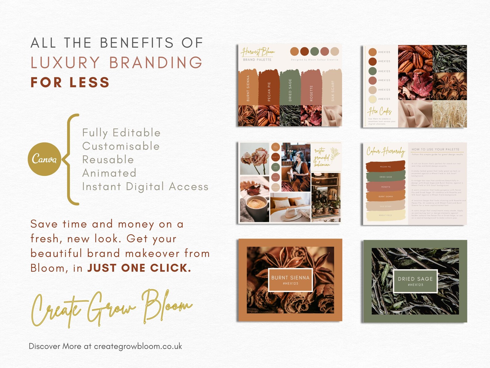 Luxury Color Palette | Brand Color Palette With Hex Codes | Premium ...