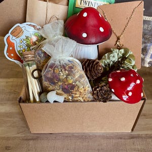Cottagecore Gift Box: Mushroom Decor, Tea, Jewelry & Stickers - Etsy