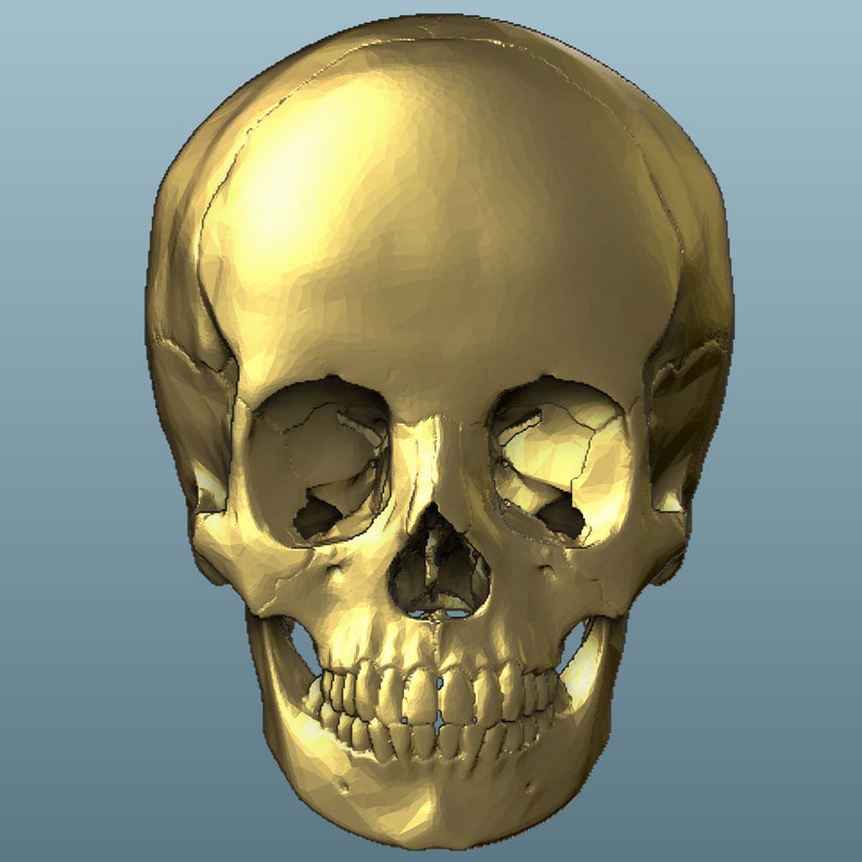 25 Skulls Reliefs 3D STL Model for CNC Router Engraver Carving Fiber ...