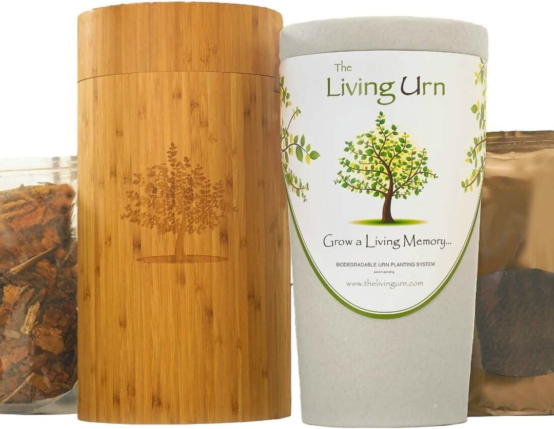 Memorial Tree Eco Urn and Planting System for Ashes Biodegradable - Etsy UK