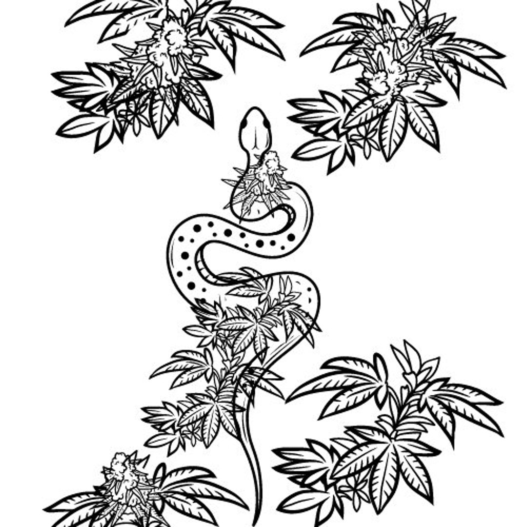 Snake Weed SVG, Pride SVG, 420 SVG, Marijuana Svg, Stoner Svg, Cannabis ...