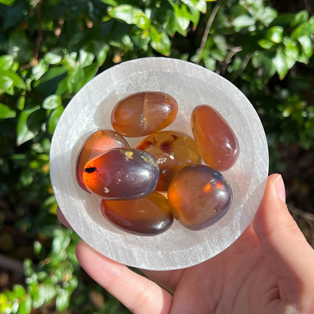 ONE (1) Amber Tumble, Random Selection | Crystal Tumbles | Fossil - Etsy