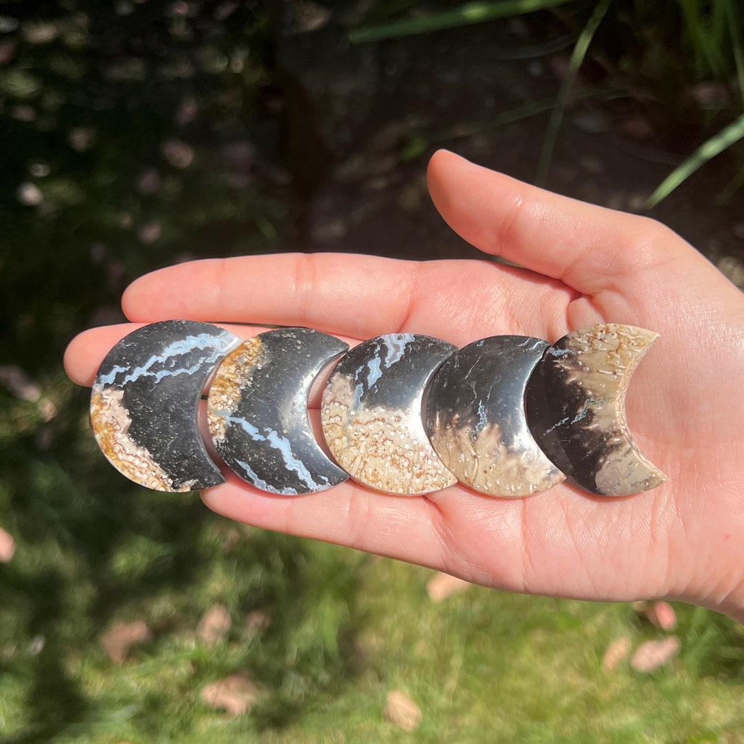You Choose, Palm Root Moon Carvings! | Cabochon Moon Carvings | Crystal ...