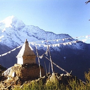 Himalayan Prayer Flags Set of 25 - Handmade Buddhist 'wind Horse ...