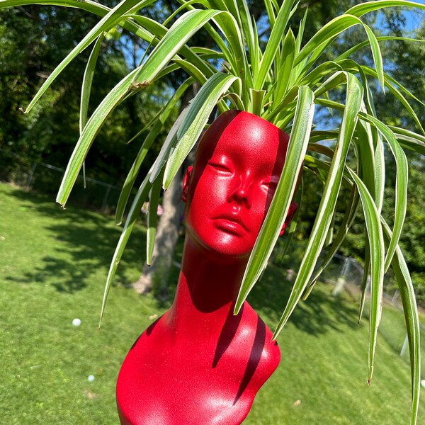 Head Planter - Etsy