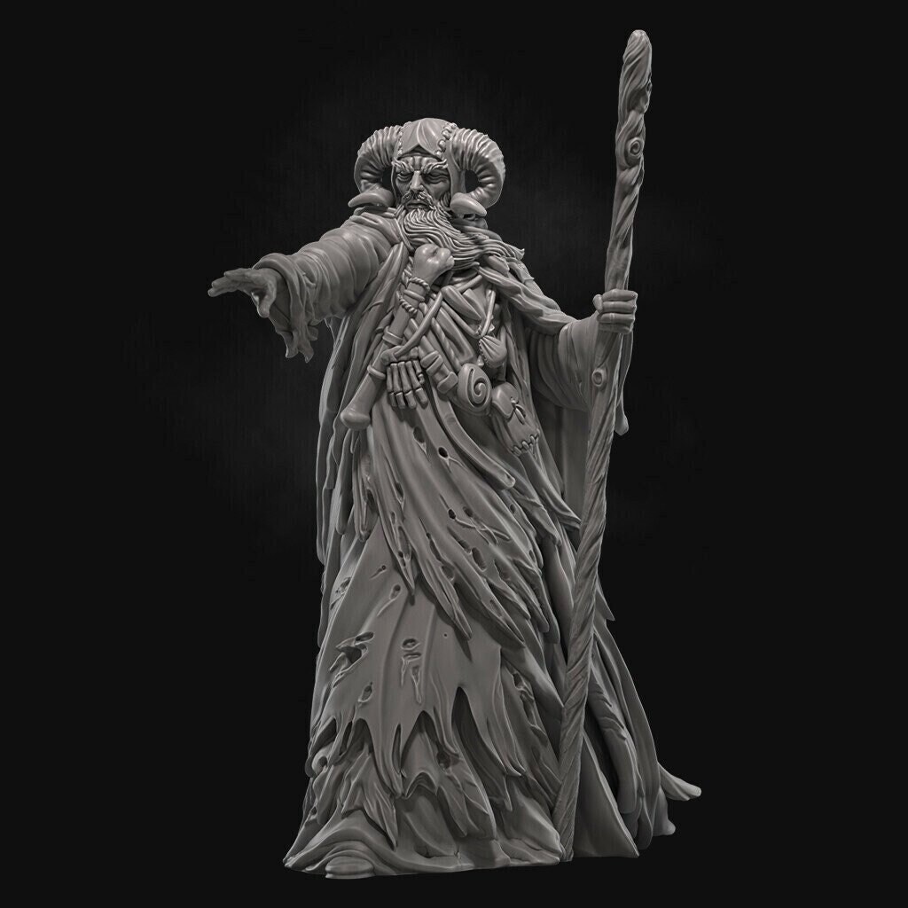 Tim High Sorcerer Monty Python Dungeons and Dragons - Etsy