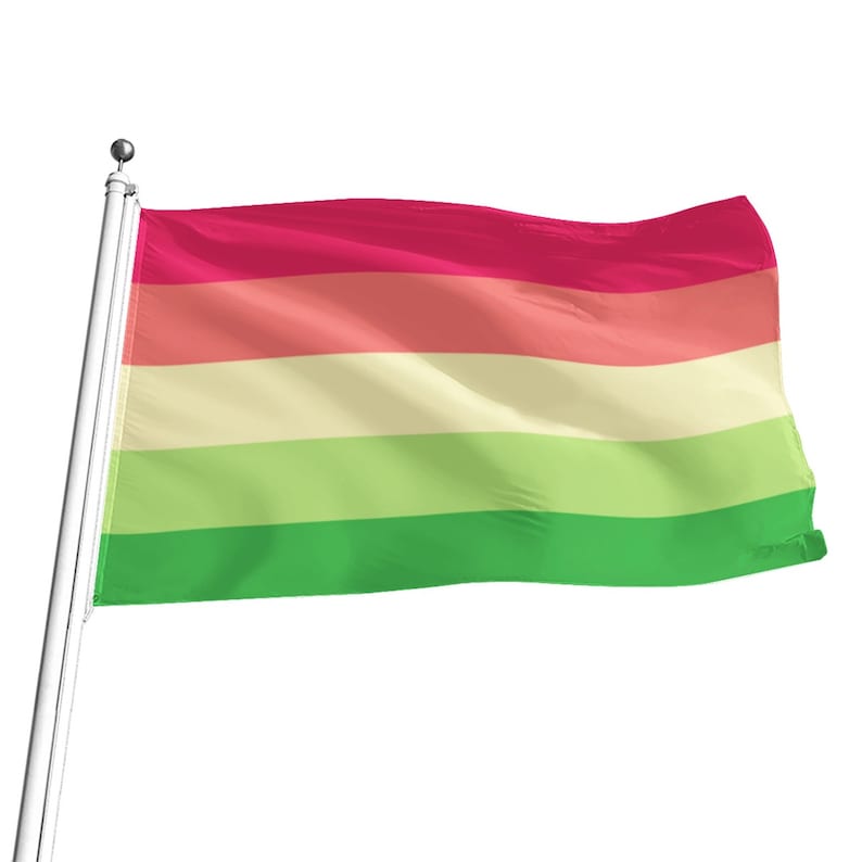 Aroflux Pride Flag, 5 Sizes, LGBTQIA+ Pride Flag, Ideal for Pride ...