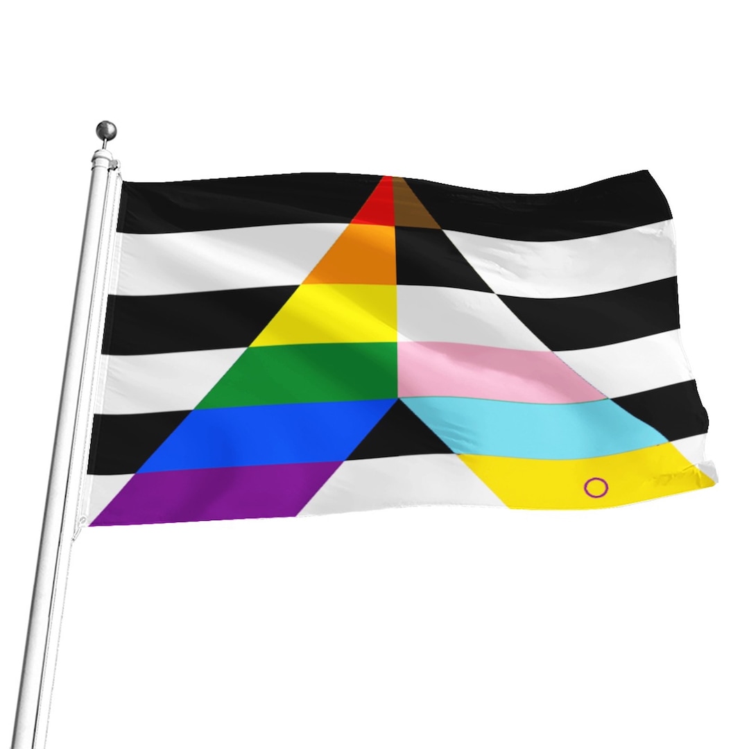 Inclusive LGBTQIA+ Ally Pride Flag 5 Sizes Straight Ally Rainbow Pride ...