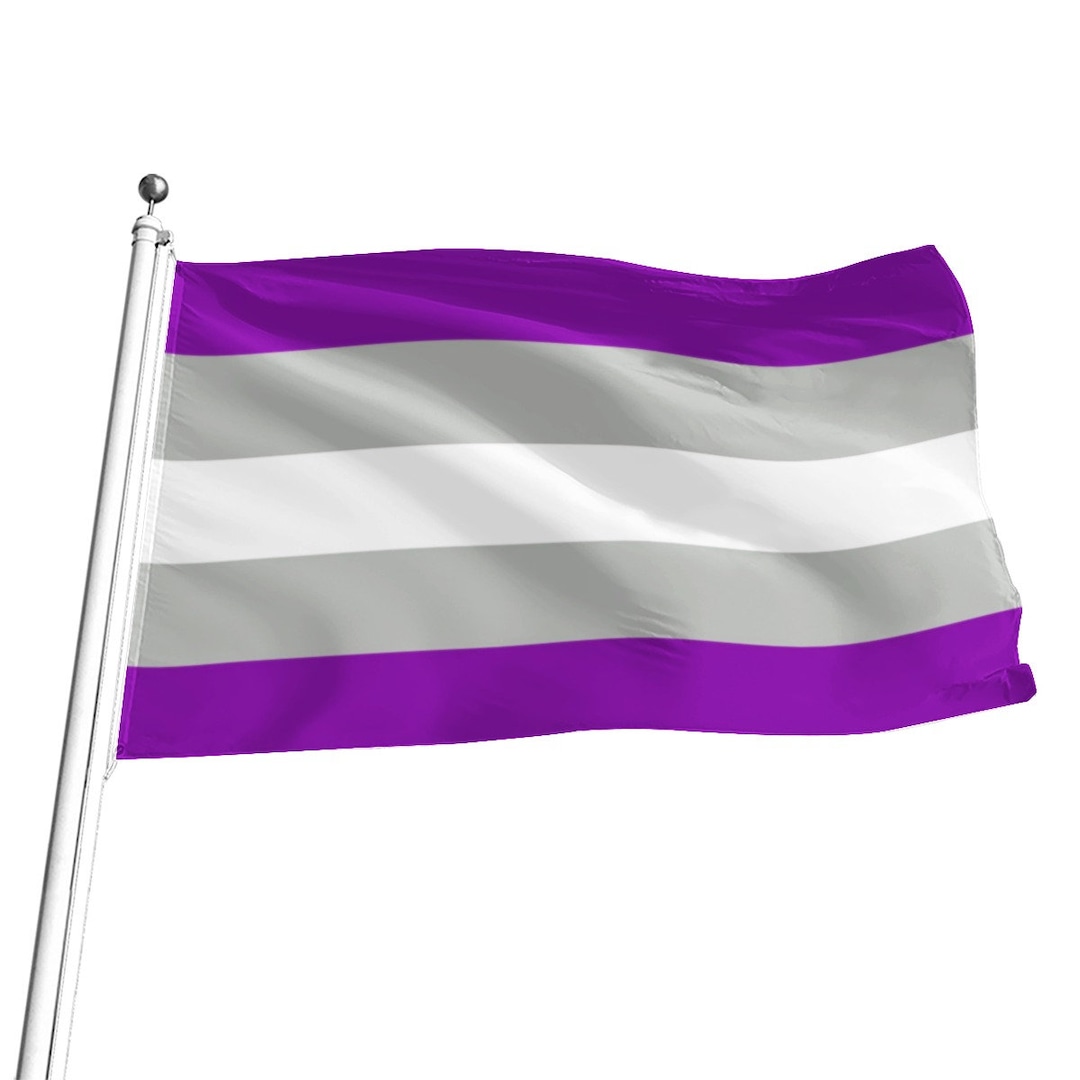 Gray Asexual Pride Flag, 5 Sizes, LGBTQ+ Pride Flag, Ideal for Pride ...