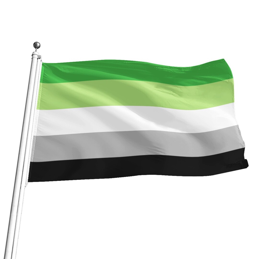 Aromantic Pride Flag, 5 Sizes, LGBTQ+ Pride Flag, Ideal for Pride ...